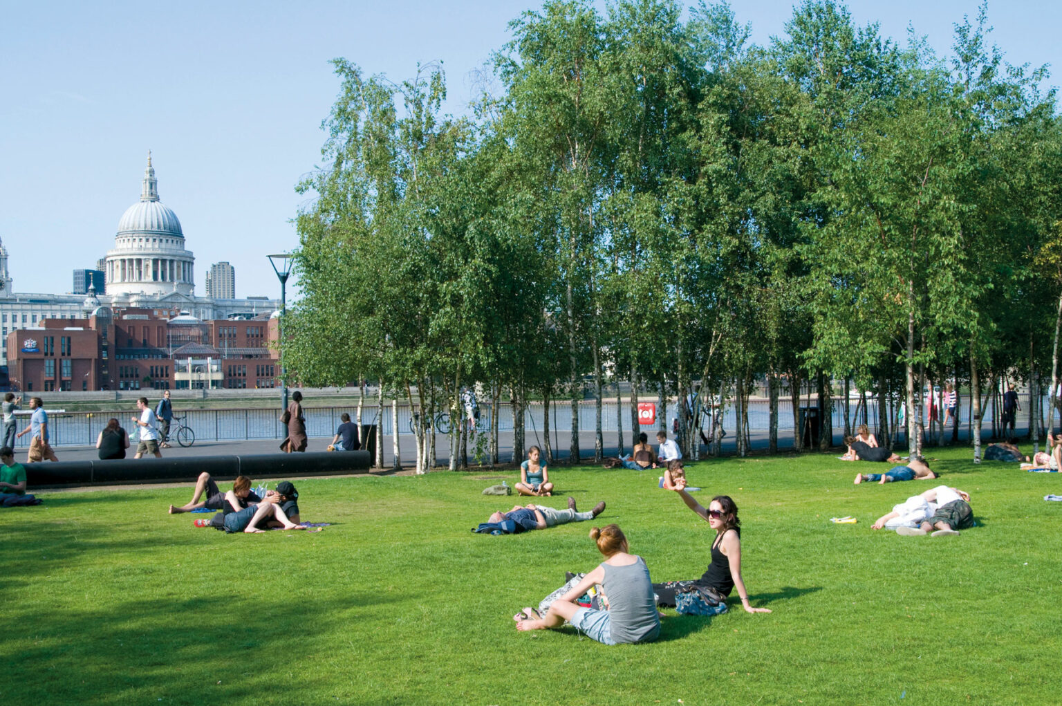 Neighbourhood - ARBOR